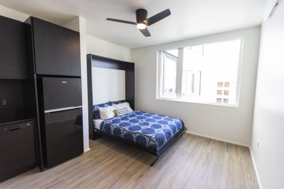 Studio, 1, 2 & 3-Bedroom Apartments in Northeast Portland | Analog PDX